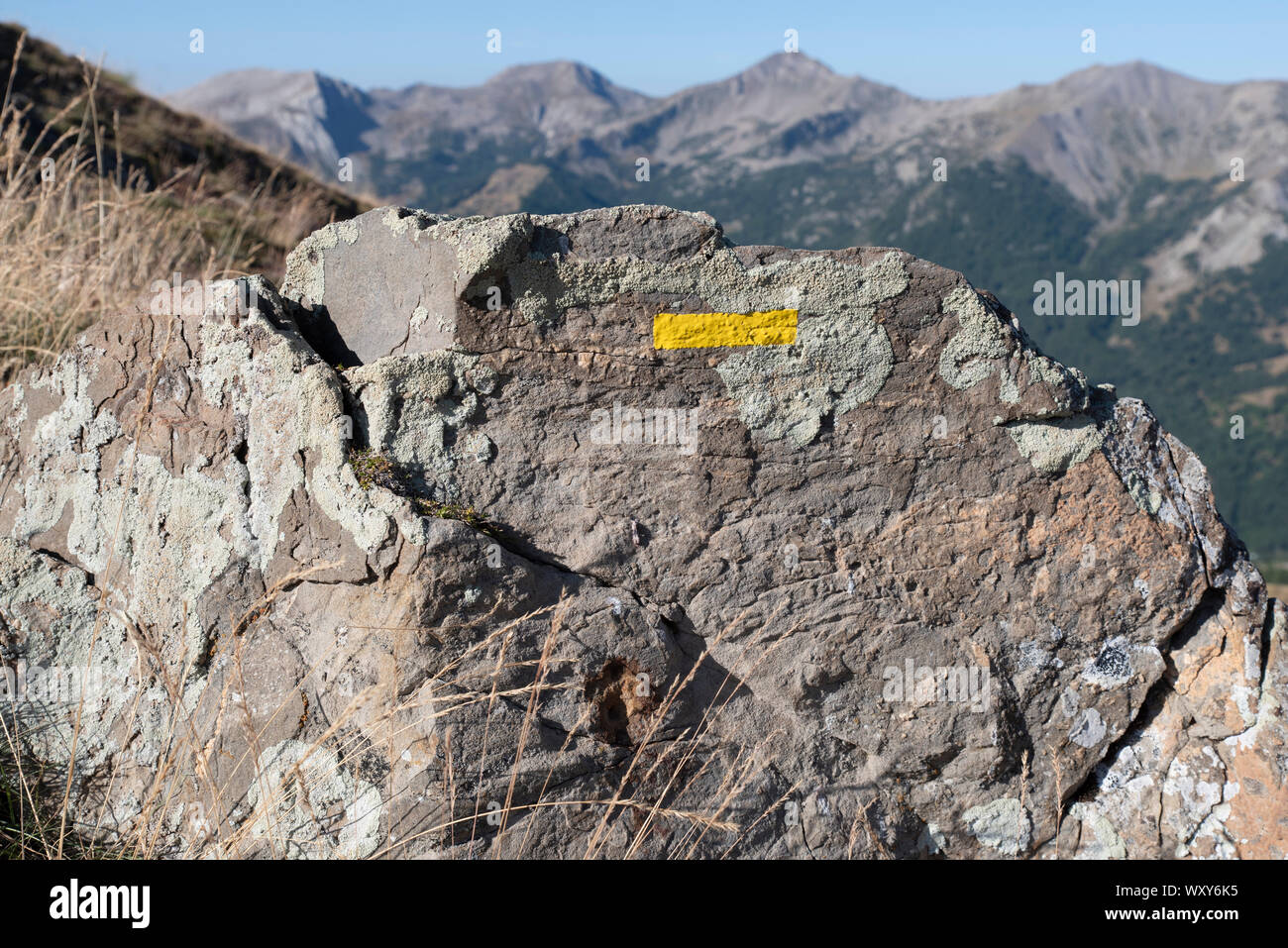 Mark indicating the right direction on a hiking trail Stock Photo - Alamy