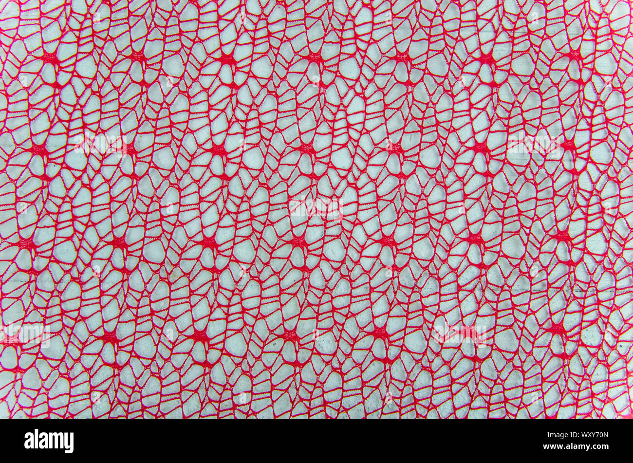 red mesh background on a white background Stock Photo - Alamy