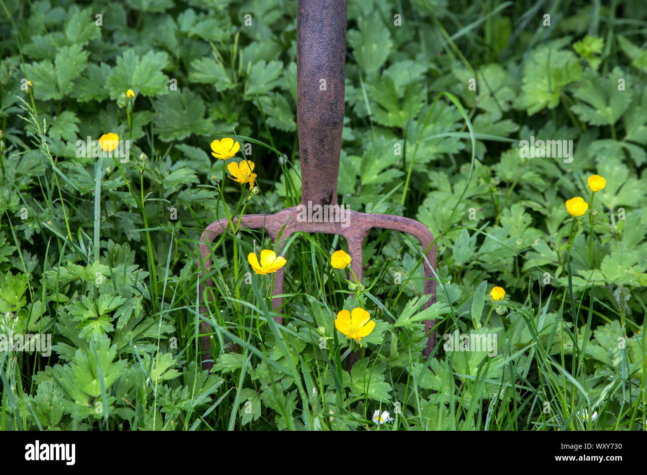 Rusted fork hi-res stock photography and images - Alamy