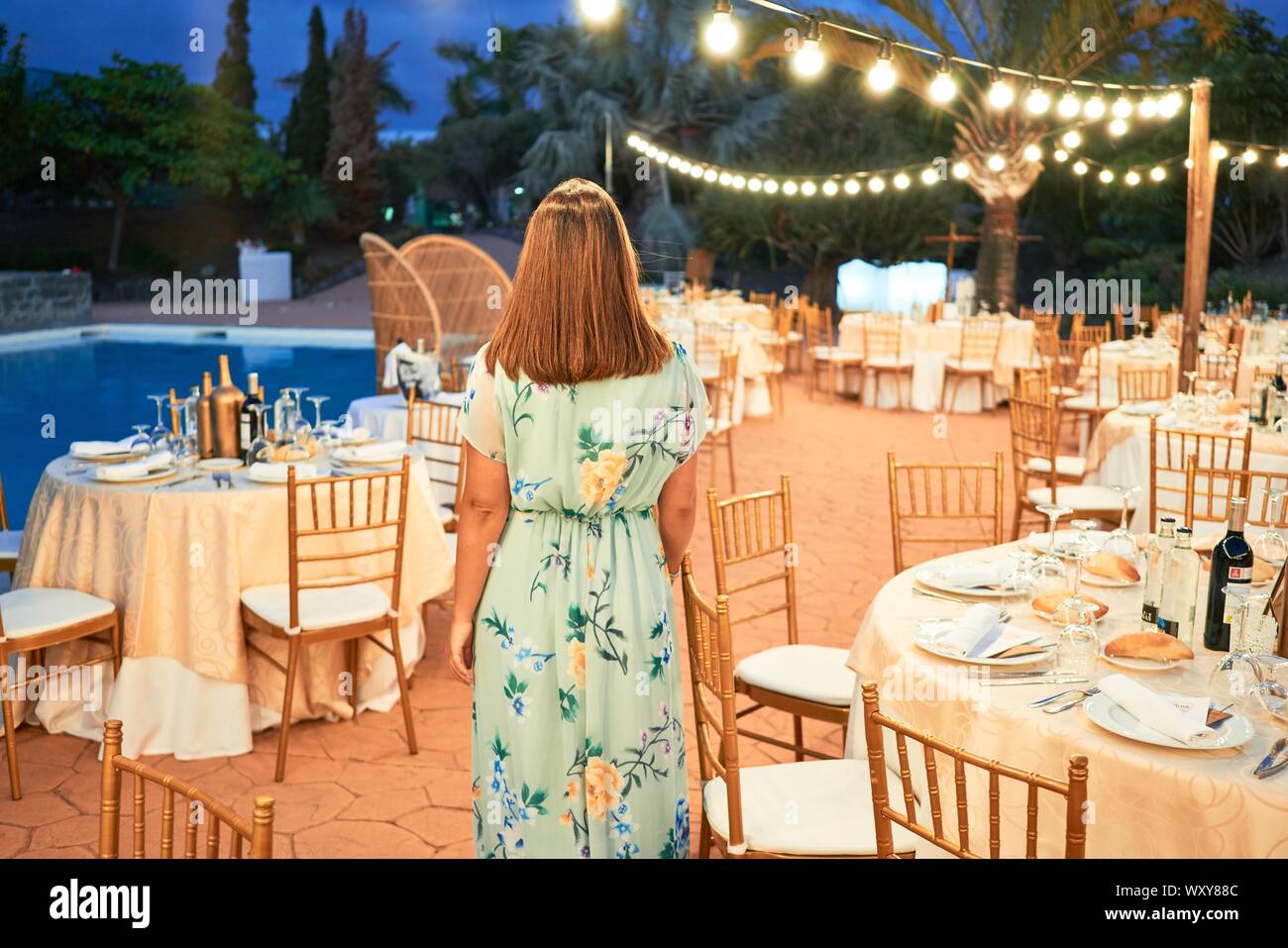 Back view of yung beautiful and elegant woman with wedding guest dress ...