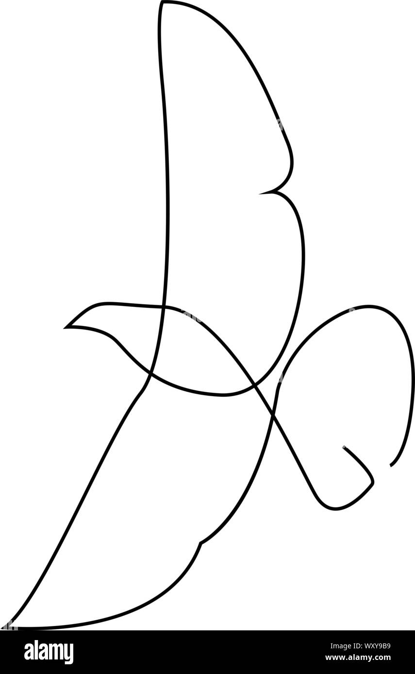 Bird Line Drawing High Resolution Stock Photography and Images - Alamy