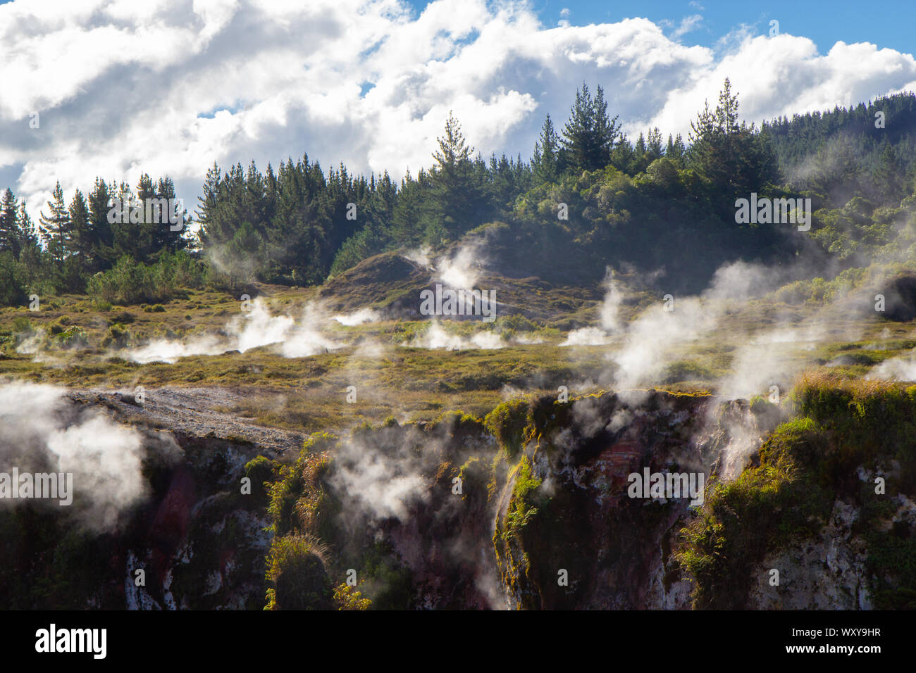 Wairakei thermal valley hi-res stock photography and images - Alamy