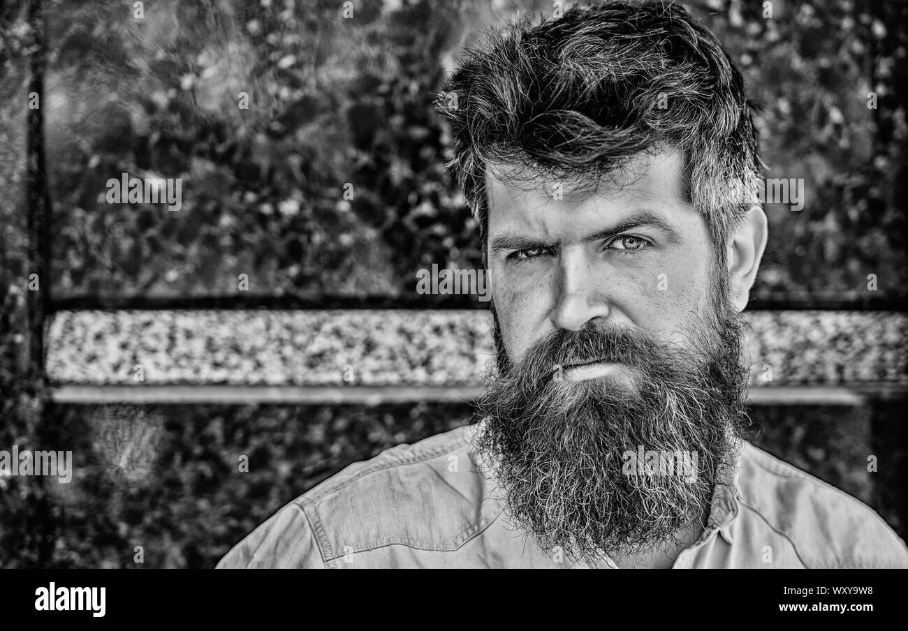 Confident posture of handsome man. Guy masculine appearance with long ...