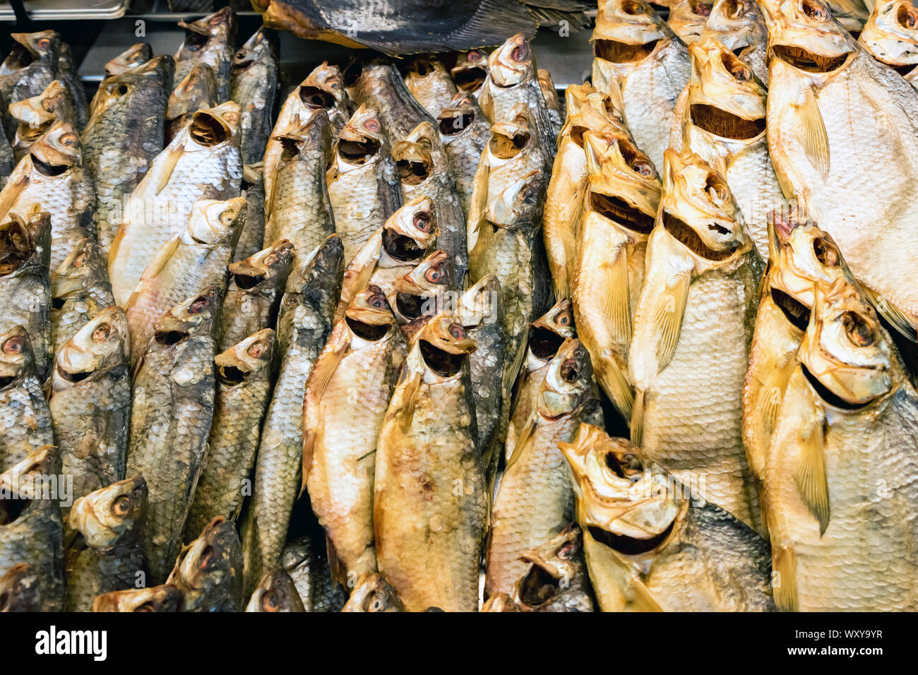 Close-up image of different types of dried fish, beer snack concept ...