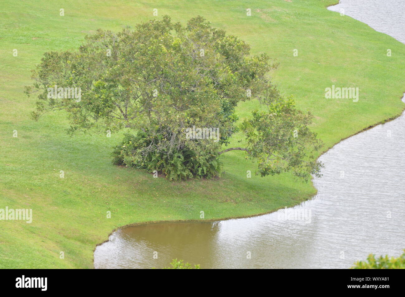Wet zone hi-res stock photography and images - Alamy