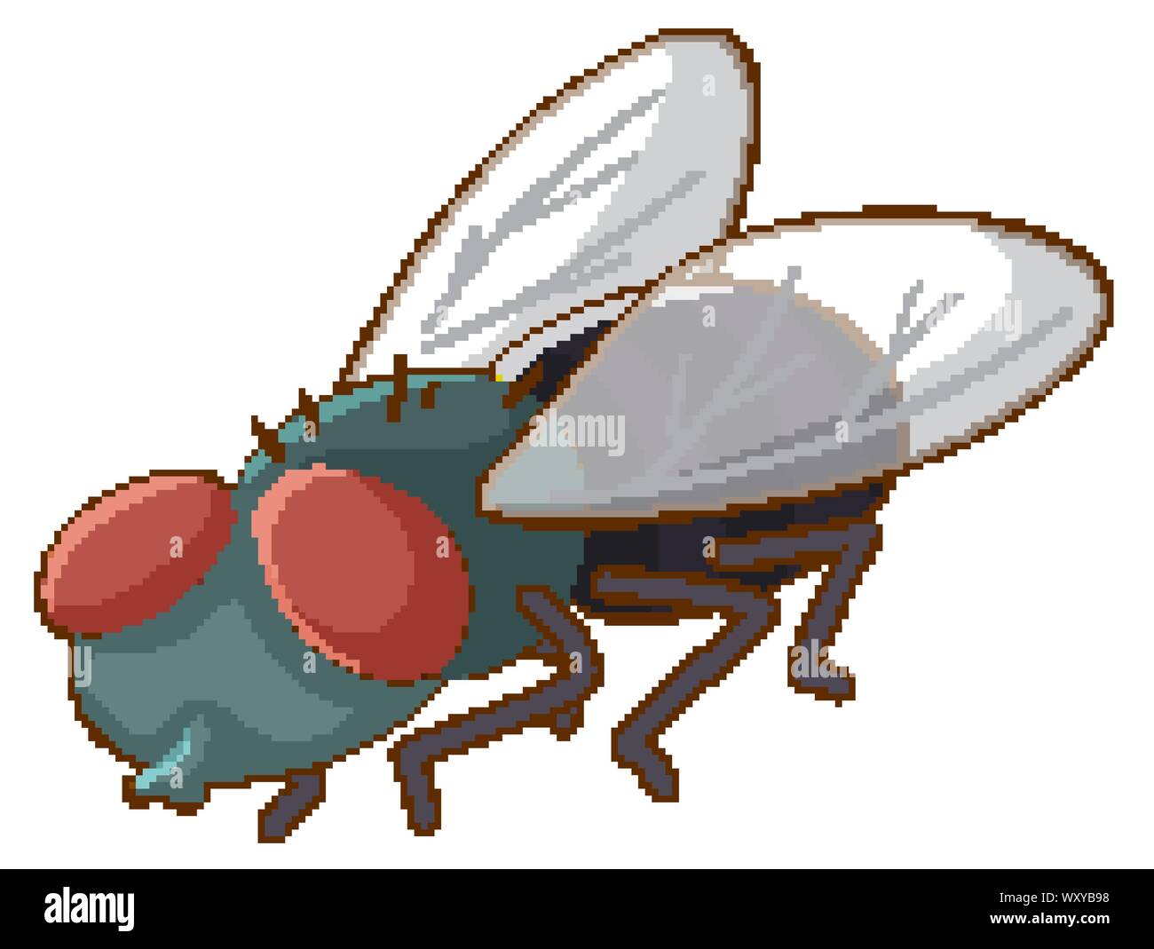 Fly on white background illustration Stock Vector Image & Art - Alamy
