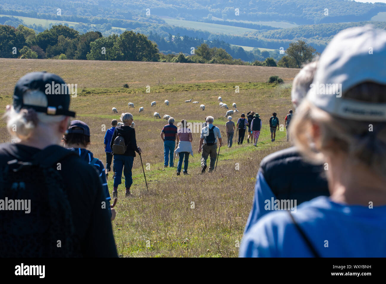 Group of hikers walking on one of the largest areas of ancient chalk ...