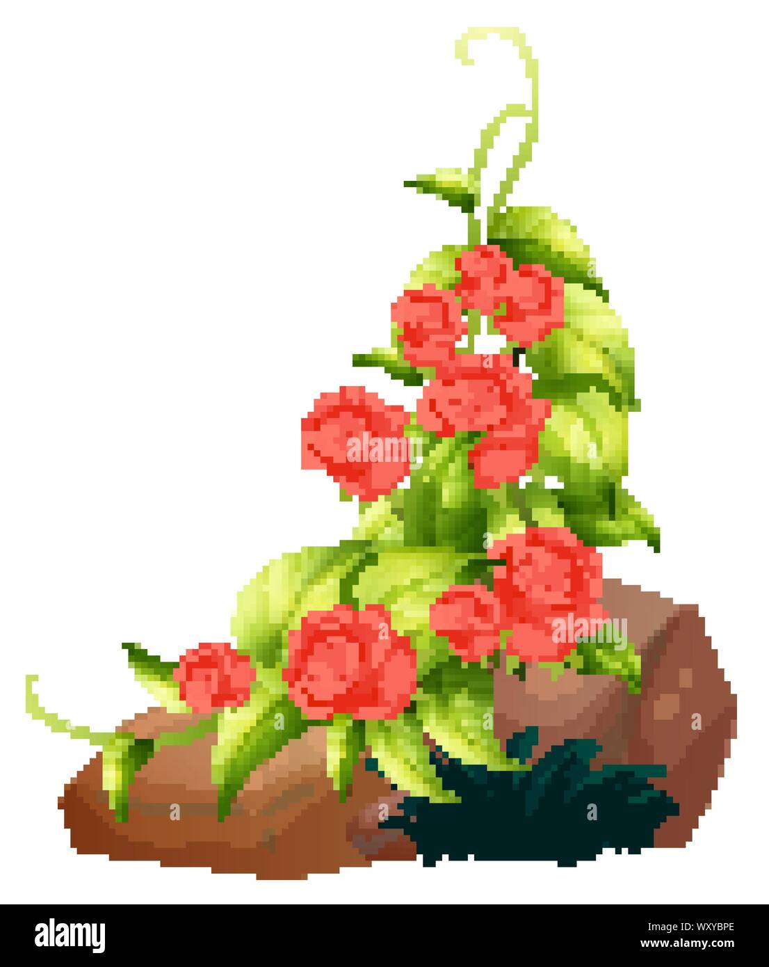 Red roses and rocks on white background illustration Stock Vector Image ...