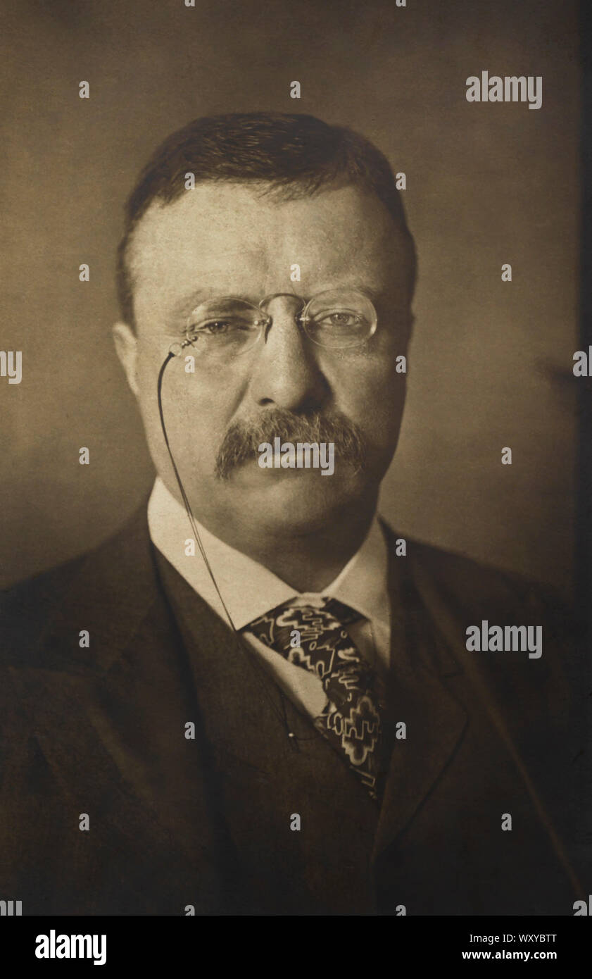 Theodore Roosevelt (1858-1919), 26th President of the United States ...