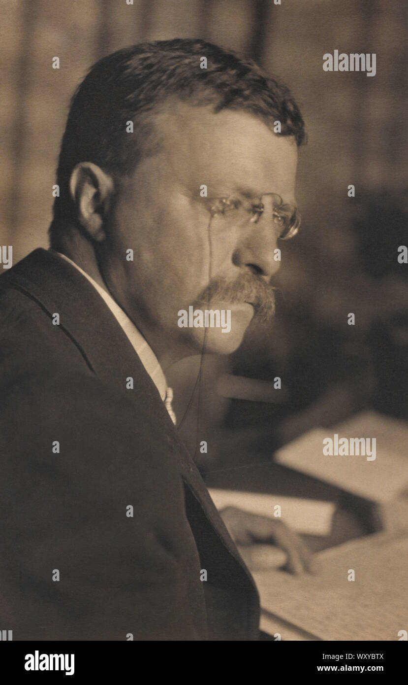 Theodore Roosevelt (1858-1919), 26th President of the United States ...