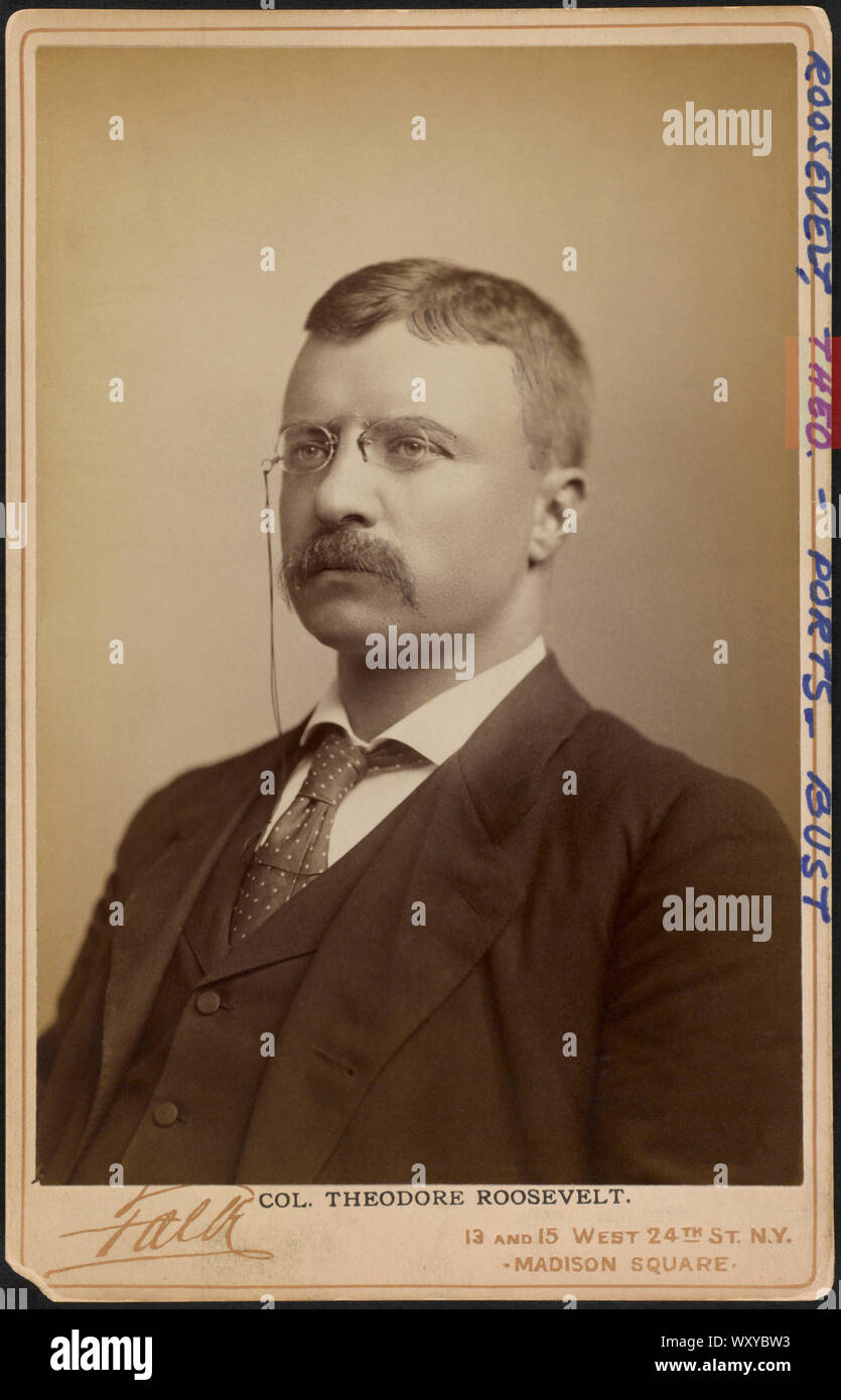 Col. Theodore Roosevelt, Head and Shoulders Portrait, Photo by B.J ...