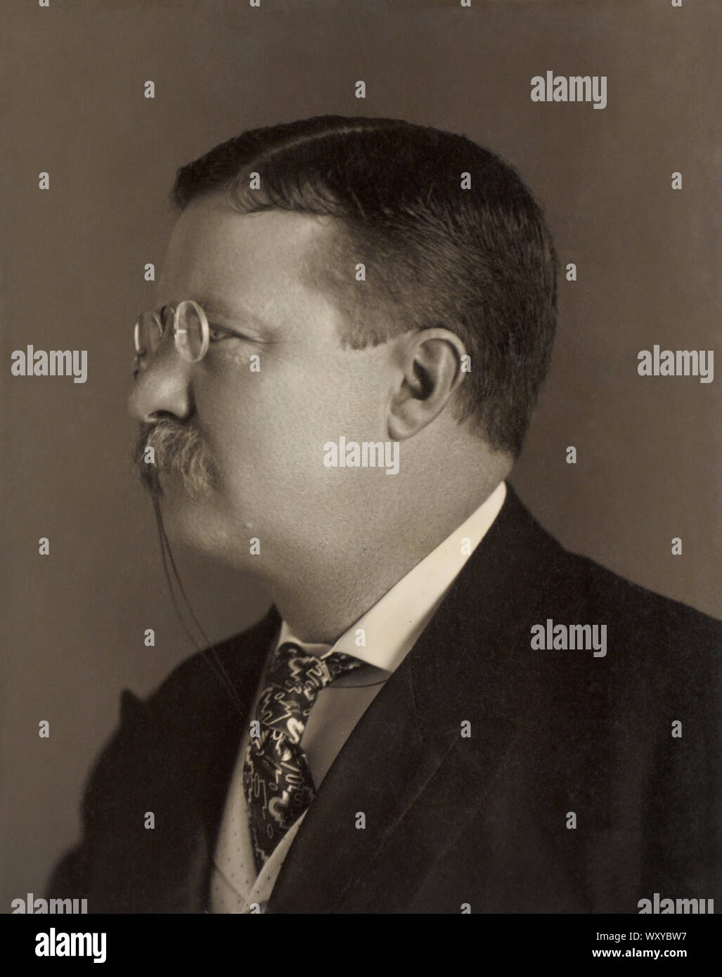 Theodore Roosevelt (1858-1919), 26th President of the United States ...