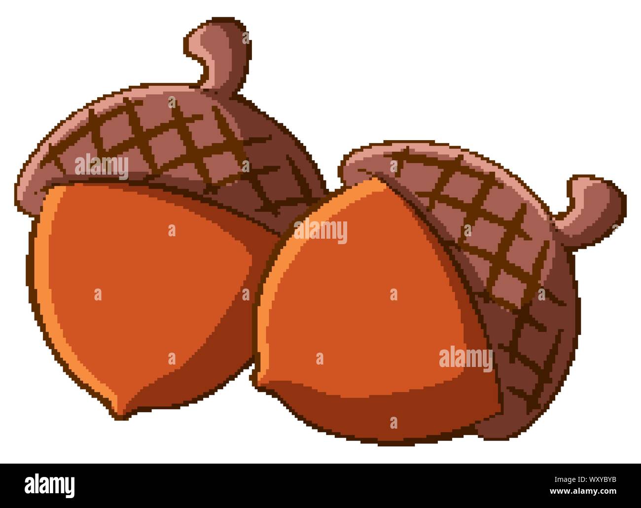 Two acorns on white background illustration Stock Vector Image & Art ...