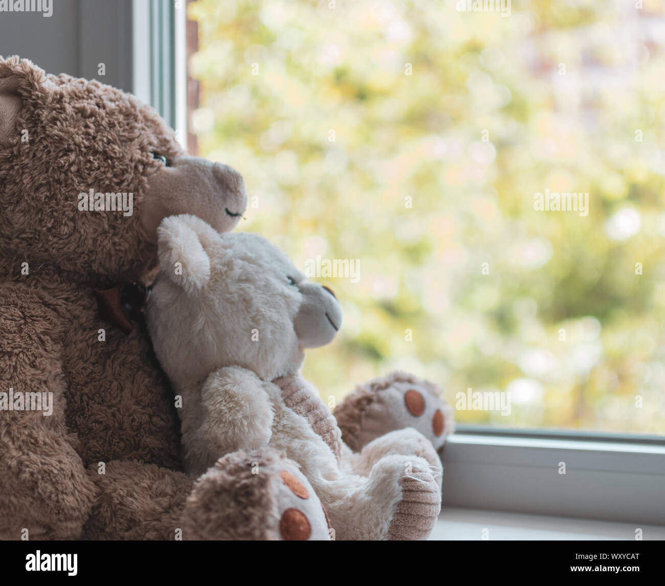 Two bears hugging hi-res stock photography and images - Alamy