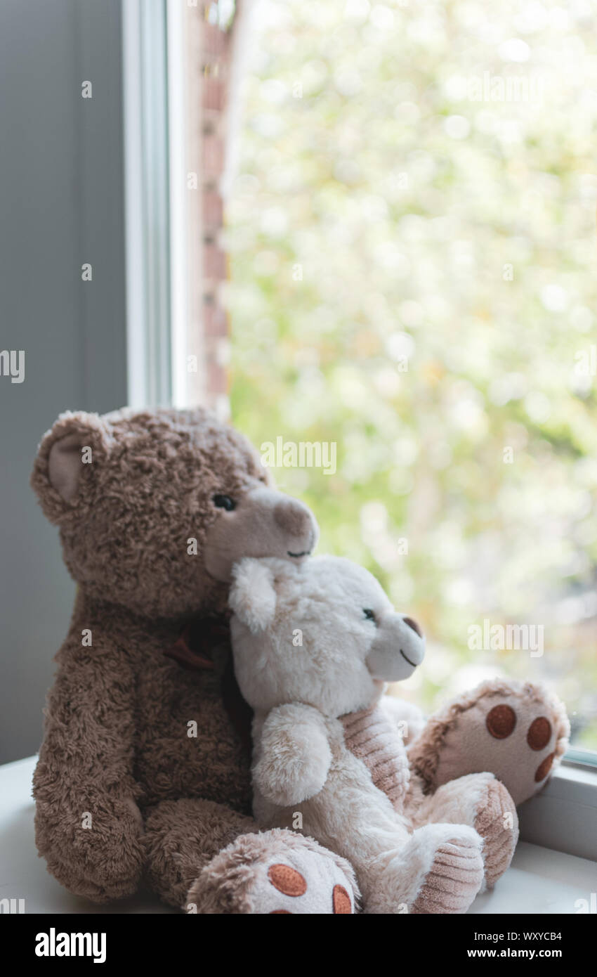 Detail Of Two Cuddled Teddy Bears Hugging Looking Out A Window Stock