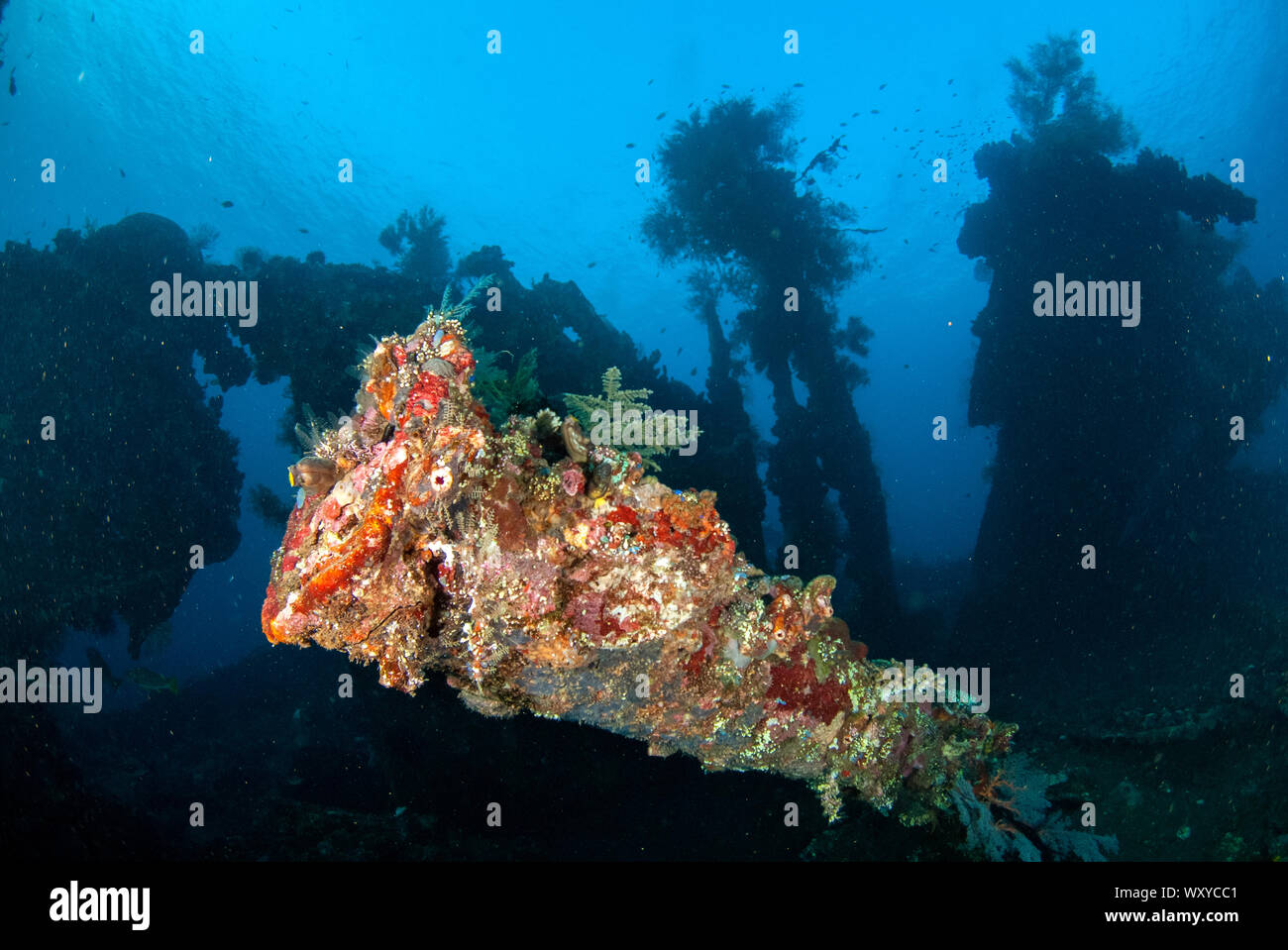Coral-covered turret, Liberty Wreck dive site, Tulamben, near Seraya ...