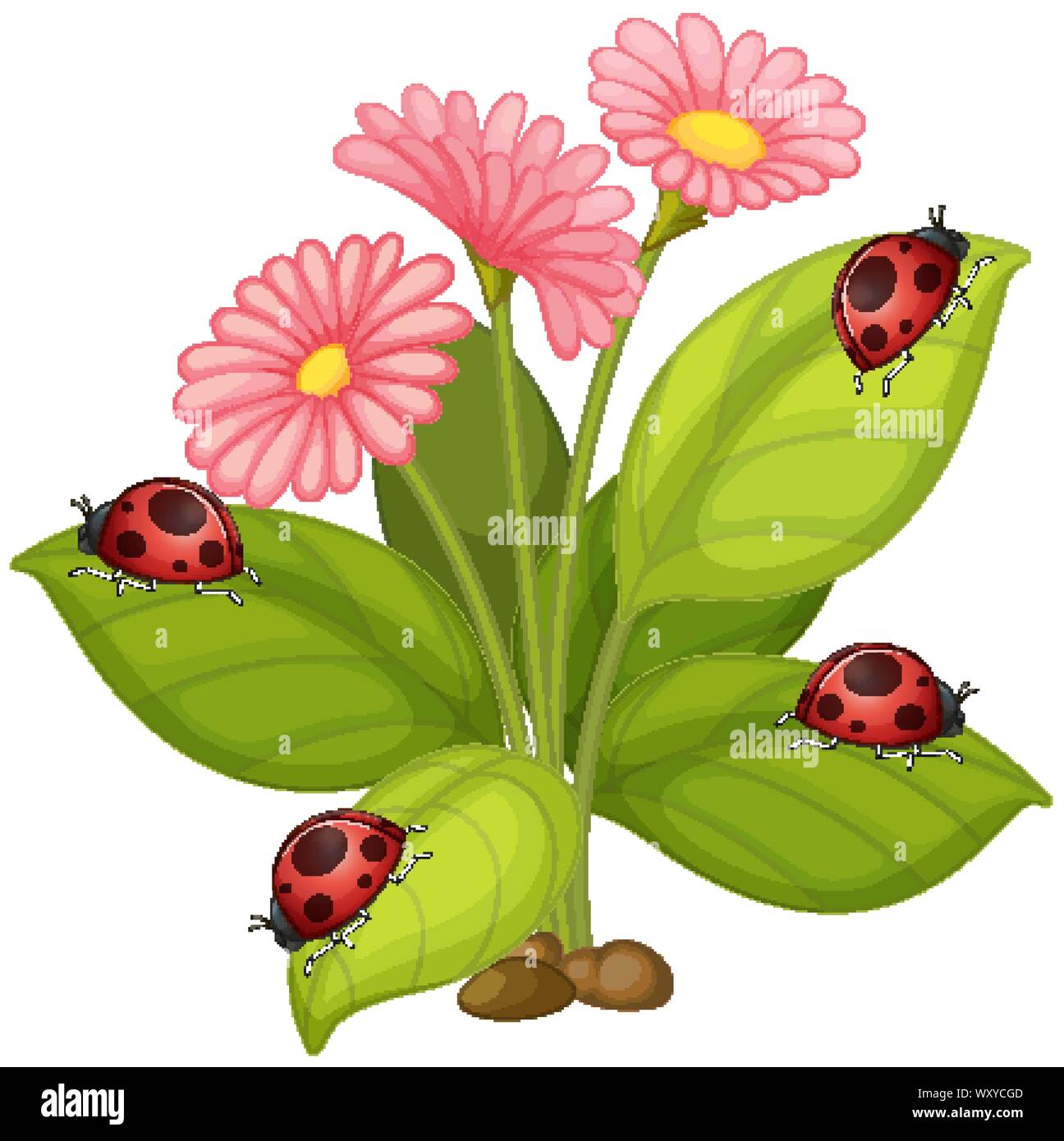 Pink gerbera flowers and ladybugs on leaves illustration Stock Vector ...