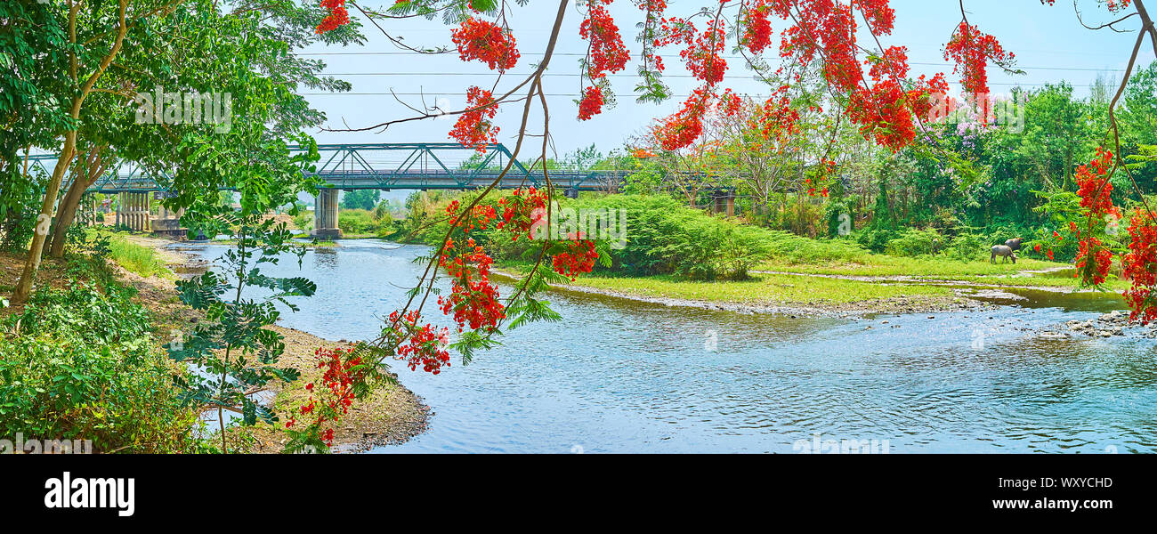 Panorama of the Pai river, lush greenery around it, branches of ...