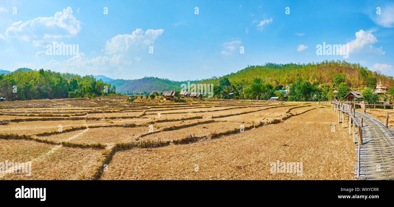 Panorama of dried terrace paddy field and curved Boon Ko Ku So bamboo ...
