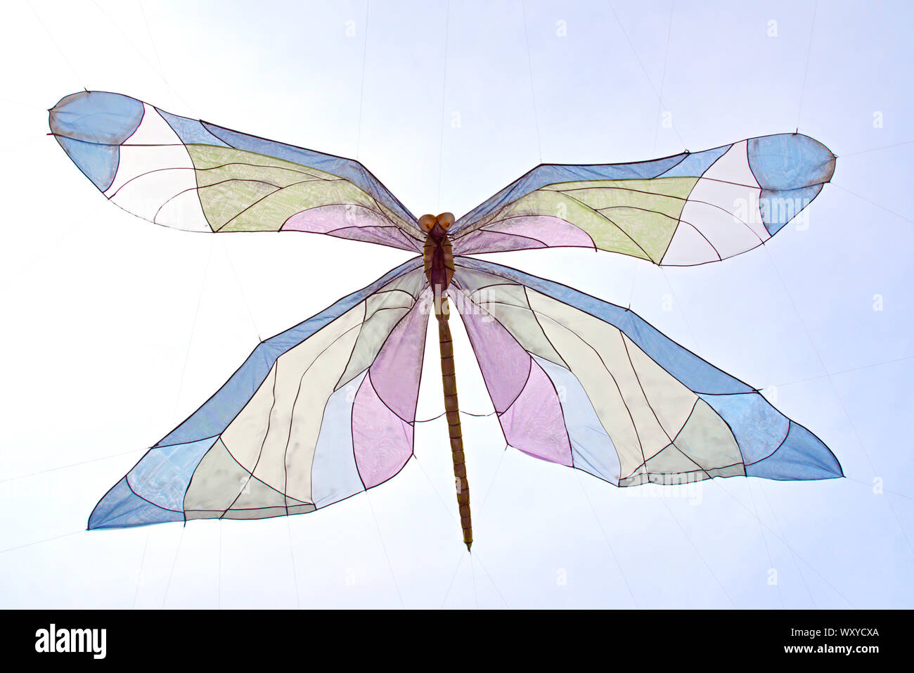 Butterfly art installation hi-res stock photography and images - Alamy