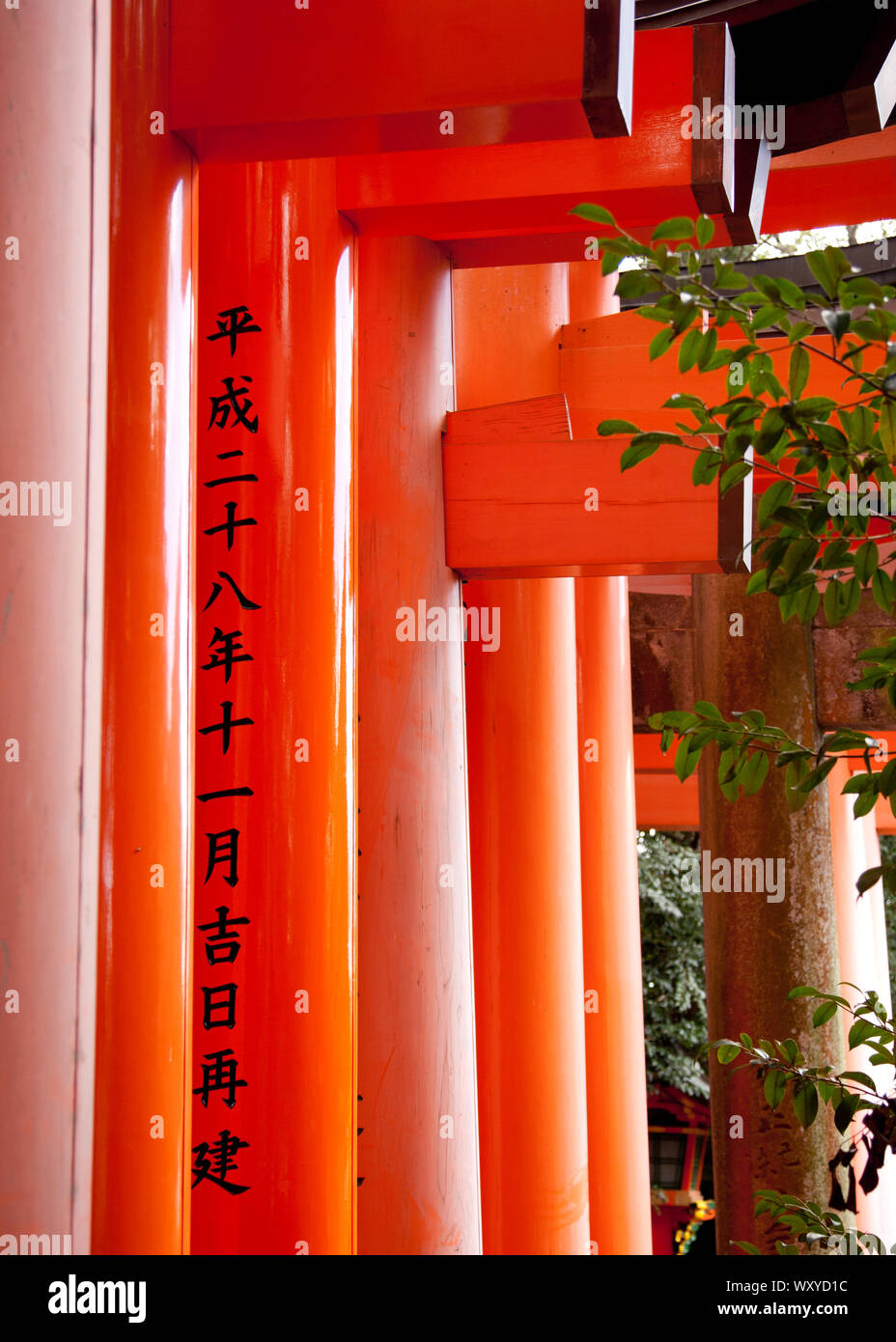 The 1000 Torrii gates of theFushimi Inari shinto shrine Stock Photo - Alamy