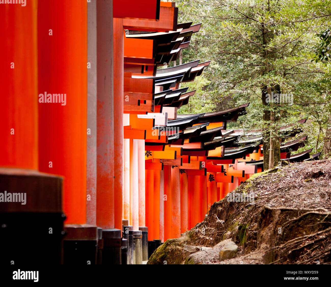 1000 gates hi-res stock photography and images - Alamy