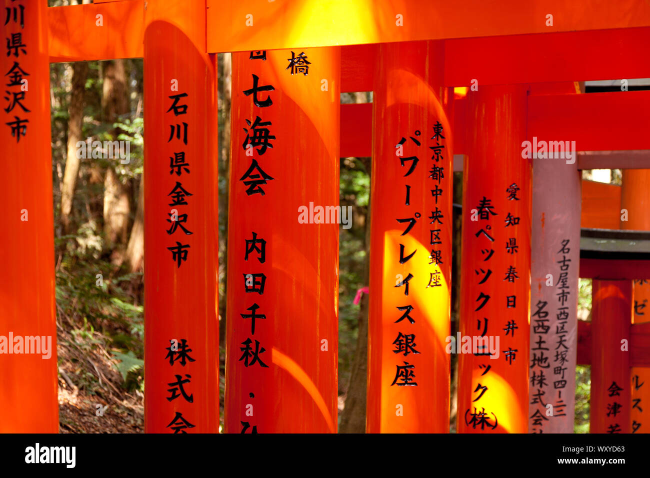 The 1000 Torrii gates of theFushimi Inari shinto shrine Stock Photo - Alamy