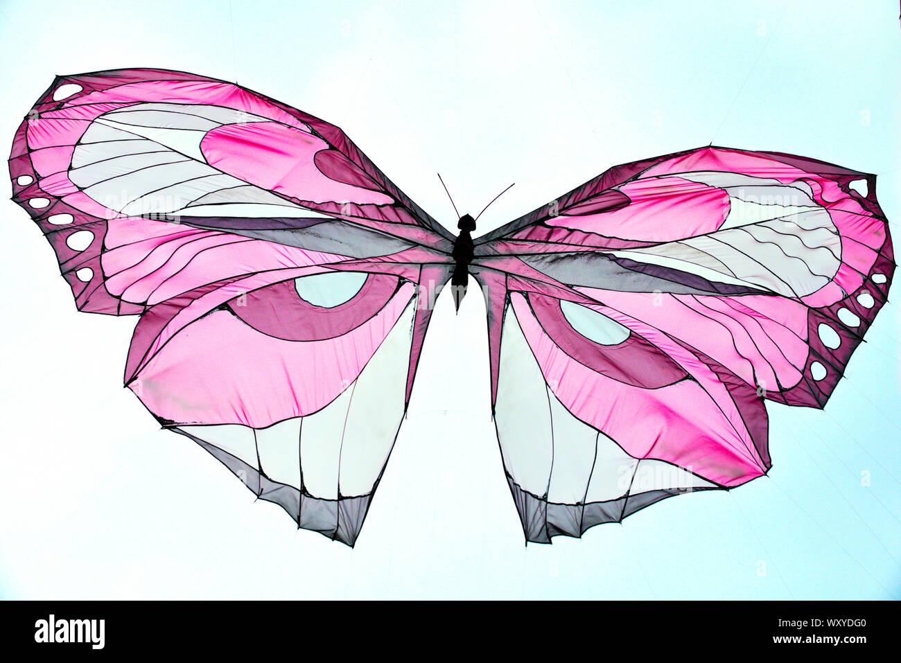 aerial installation butterfly Stock Photo - Alamy