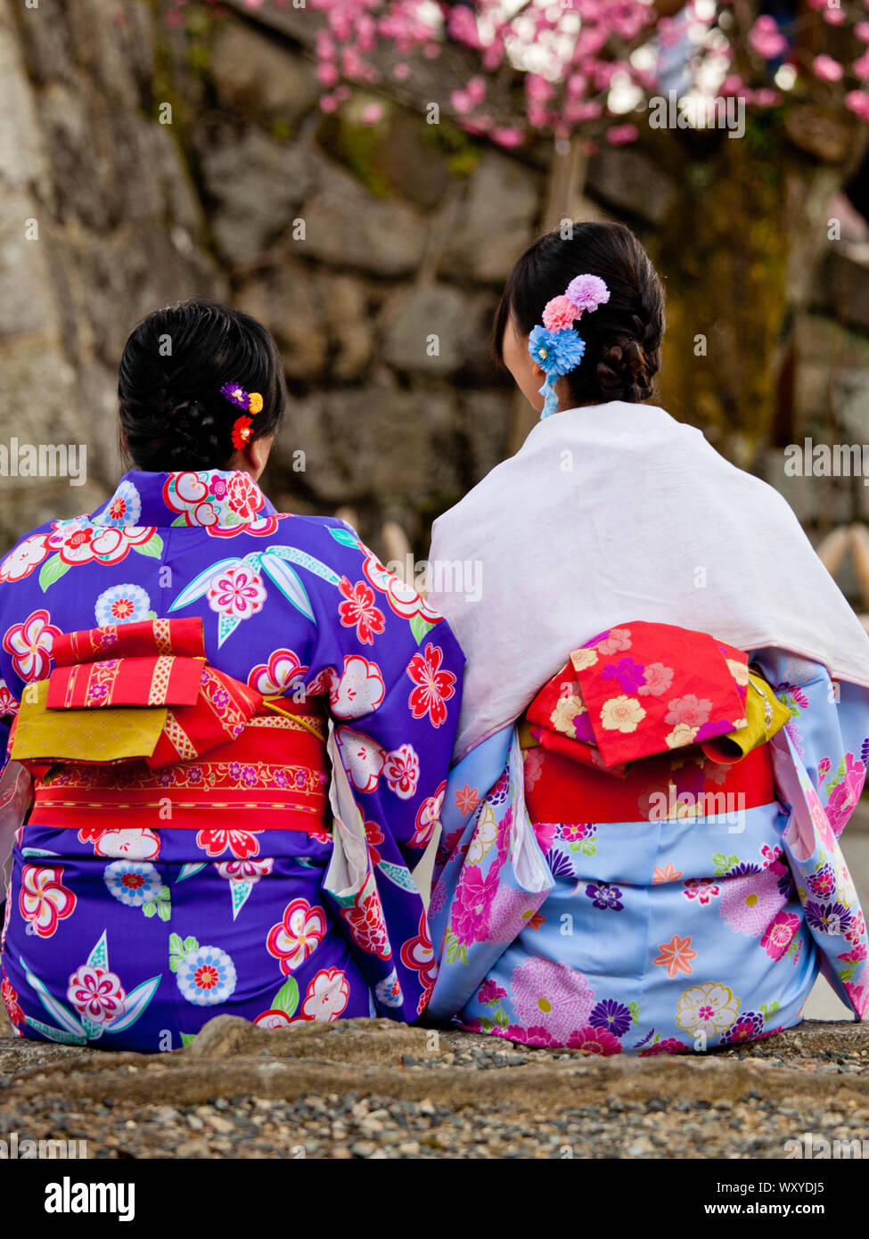 Japanese ladies wearing the traditional kimono Stock Photo - Alamy