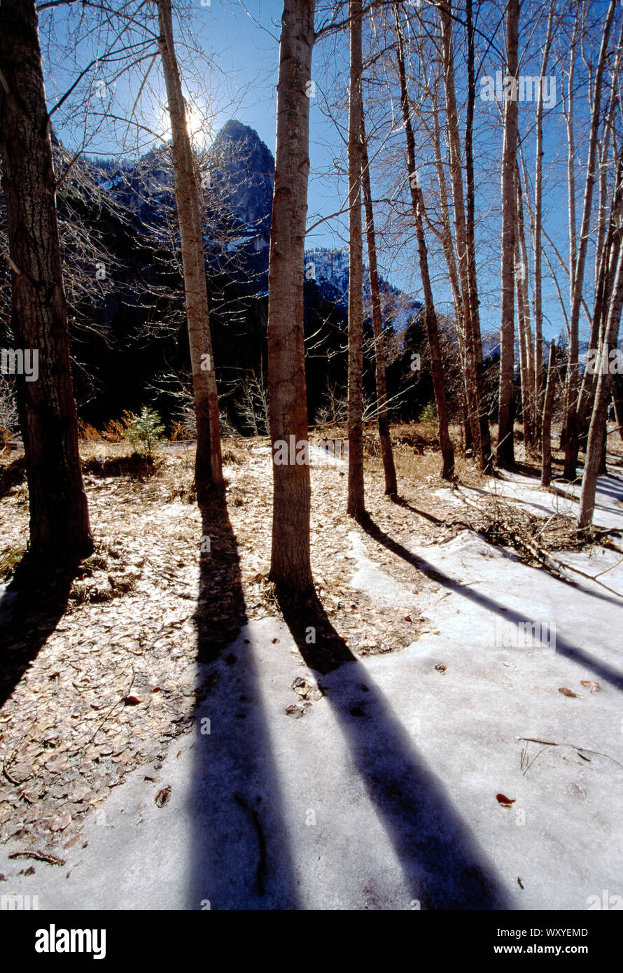 Yosemite national park spring thaw hi-res stock photography and images ...