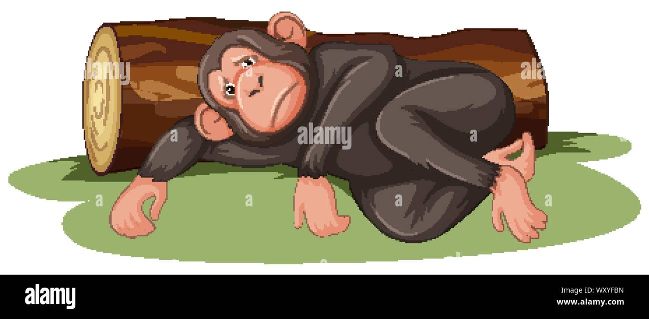 Sick monkey hi-res stock photography and images - Alamy