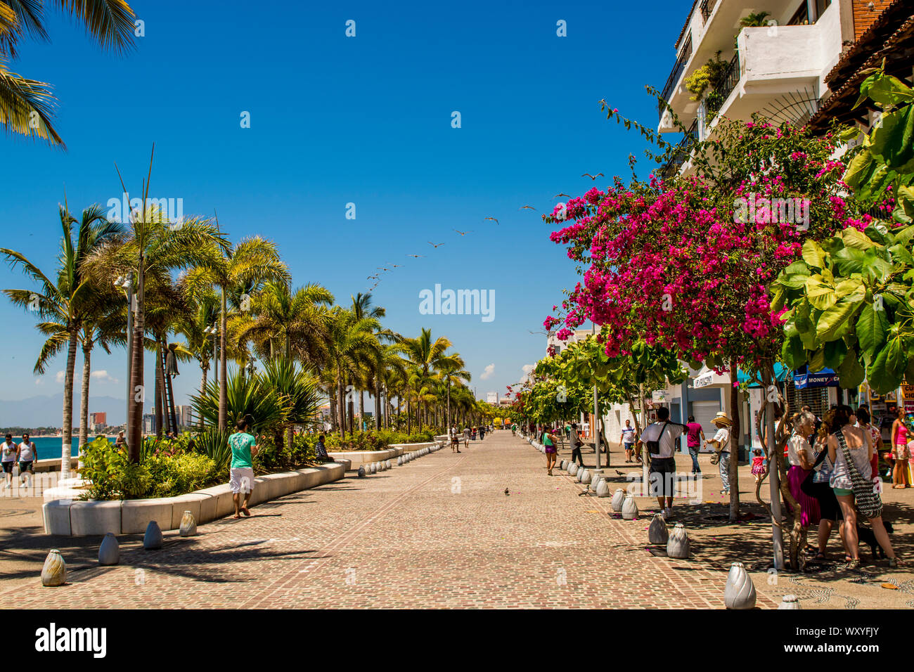 The Malecon, Puerto Vallarta, Jalisco, Mexico Stock Photo - Alamy
