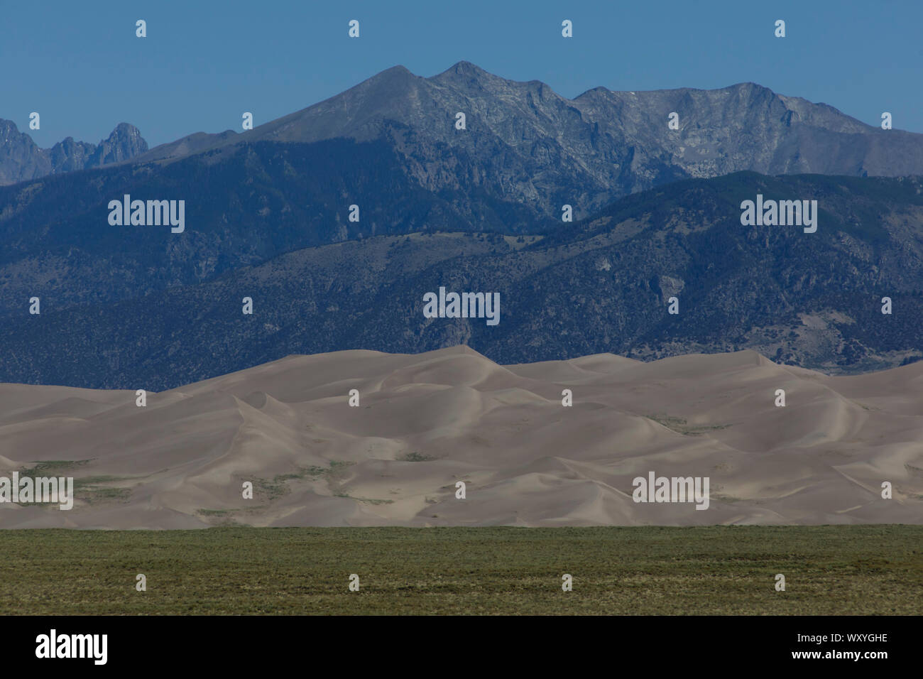 Great Sand Dunes National Park during summer in Colorado Stock Photo ...