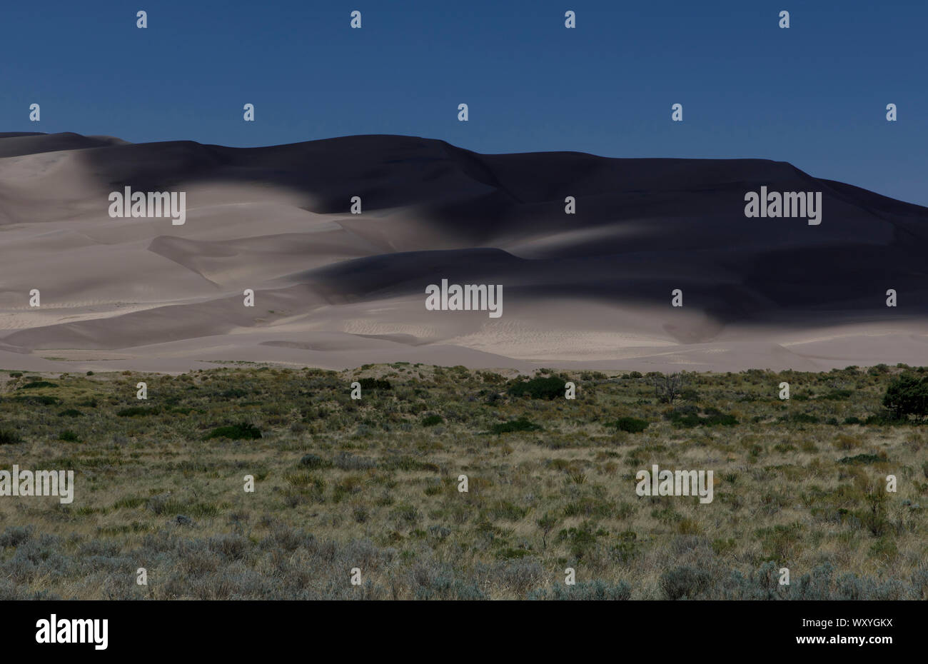 Shadows move over the dunes at Great Sand Dunes National Park in Colorado Stock Photo - Alamy
