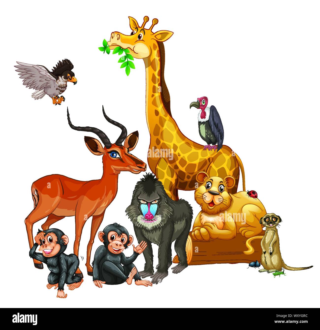Many wild animals on white background illustration Stock Vector Image ...