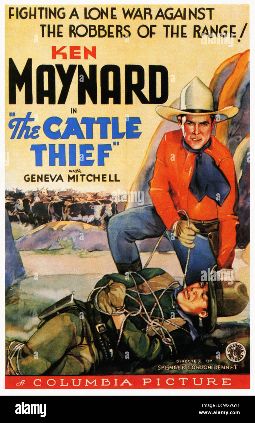 The Cattle Thief - Vintage Movie Poster Stock Photo - Alamy