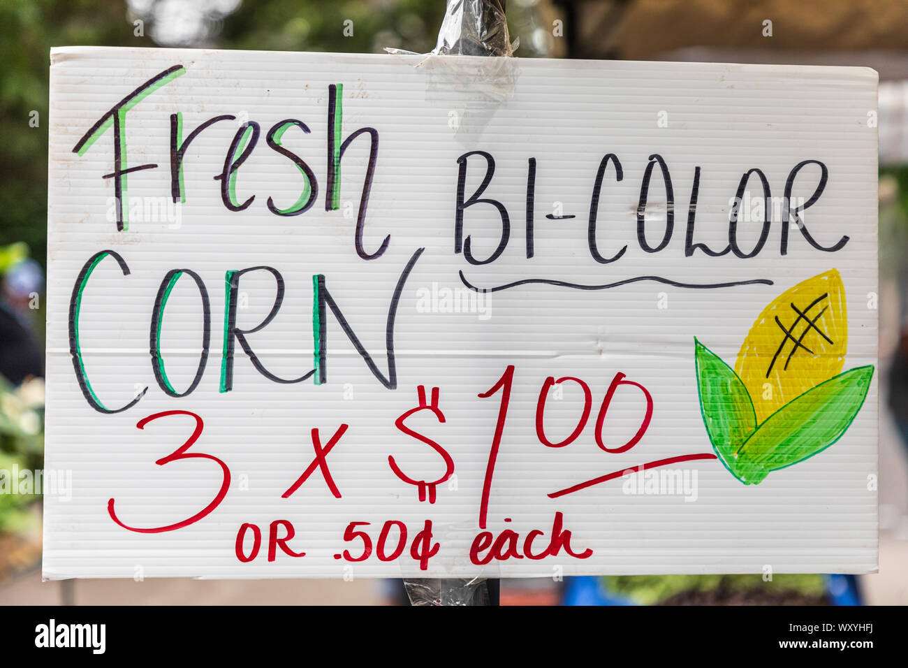 USA, Washington State, Vancouver. Vendor's sign for fresh corn on the ...
