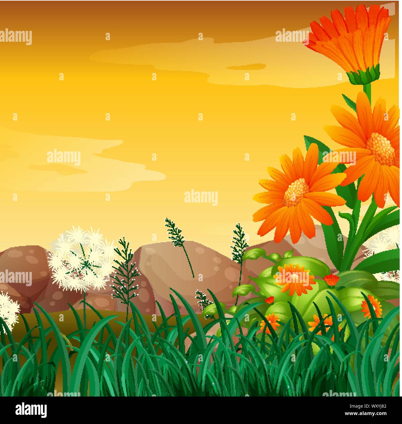 Nature scene with flower garden at sunset illustration Stock Vector ...