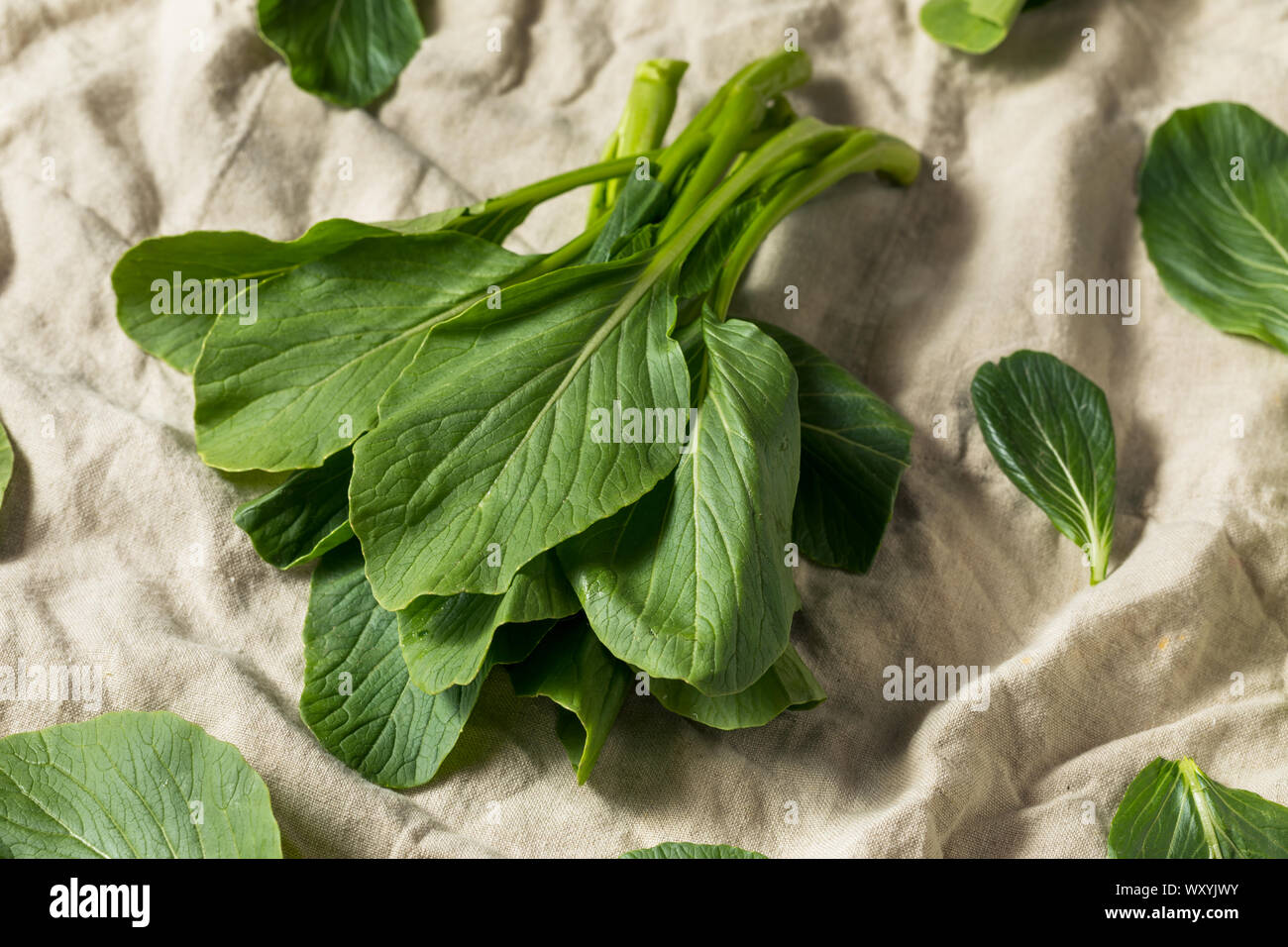 Raw Green Organic Chinese Gai Lan Ready to Cook Stock Photo - Alamy