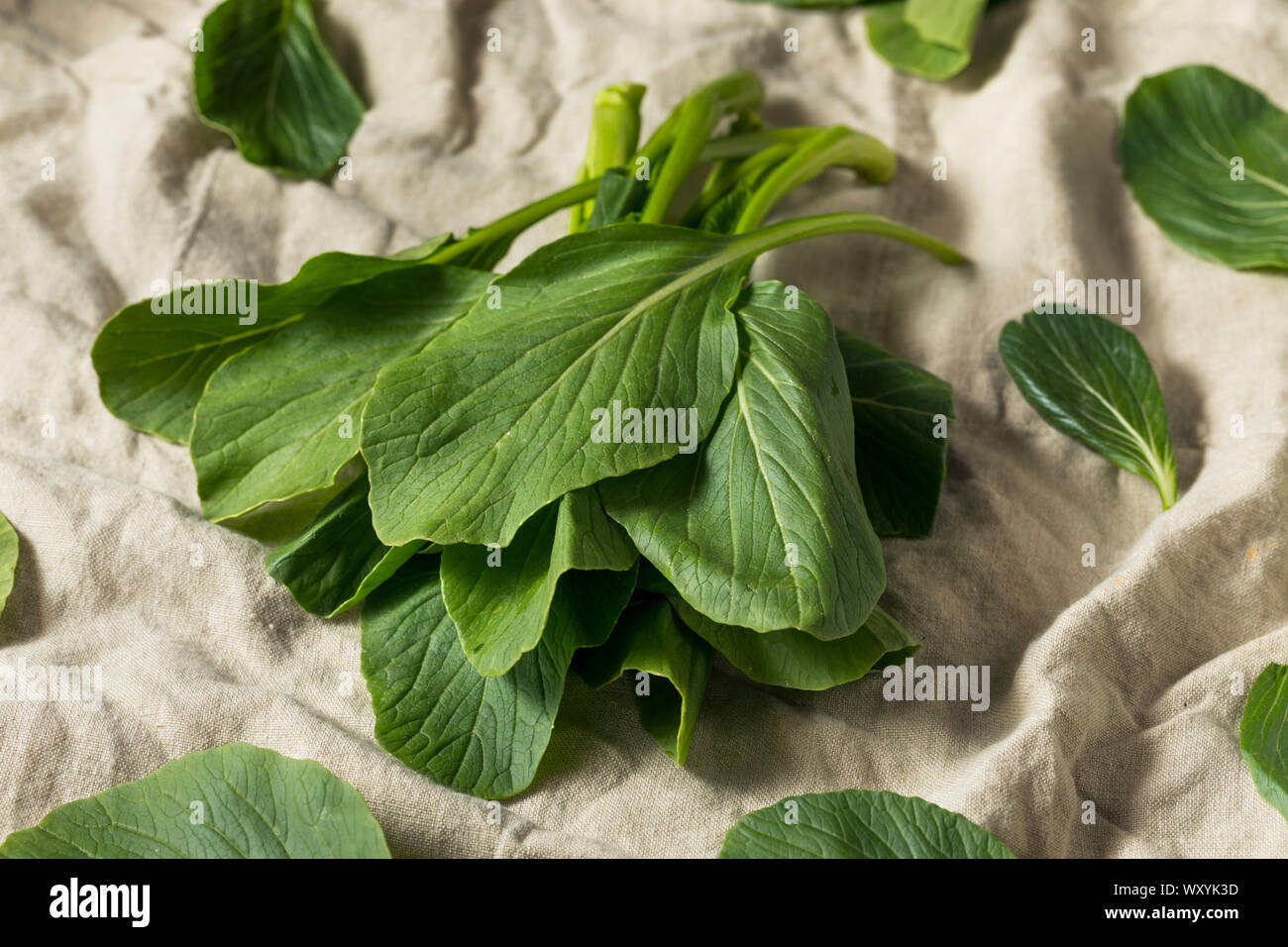 Raw Green Organic Chinese Gai Lan Ready to Cook Stock Photo - Alamy