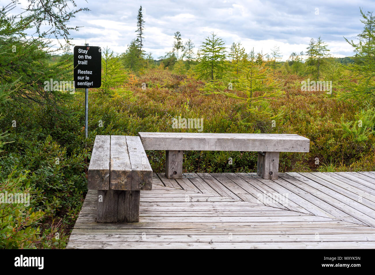 Corner bench on park boardwalk Stock Photo - Alamy