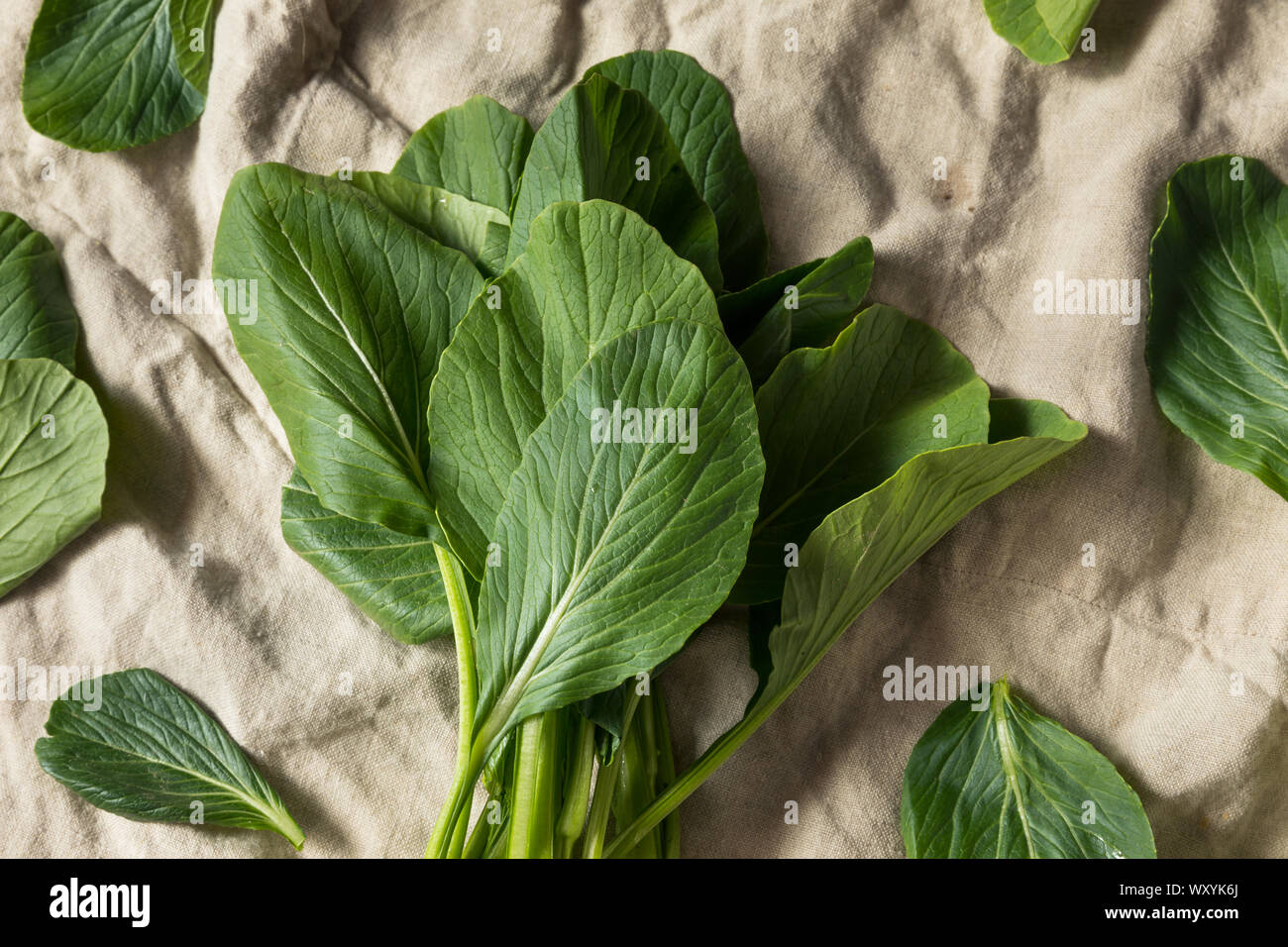 Raw Green Organic Chinese Gai Lan Ready to Cook Stock Photo - Alamy