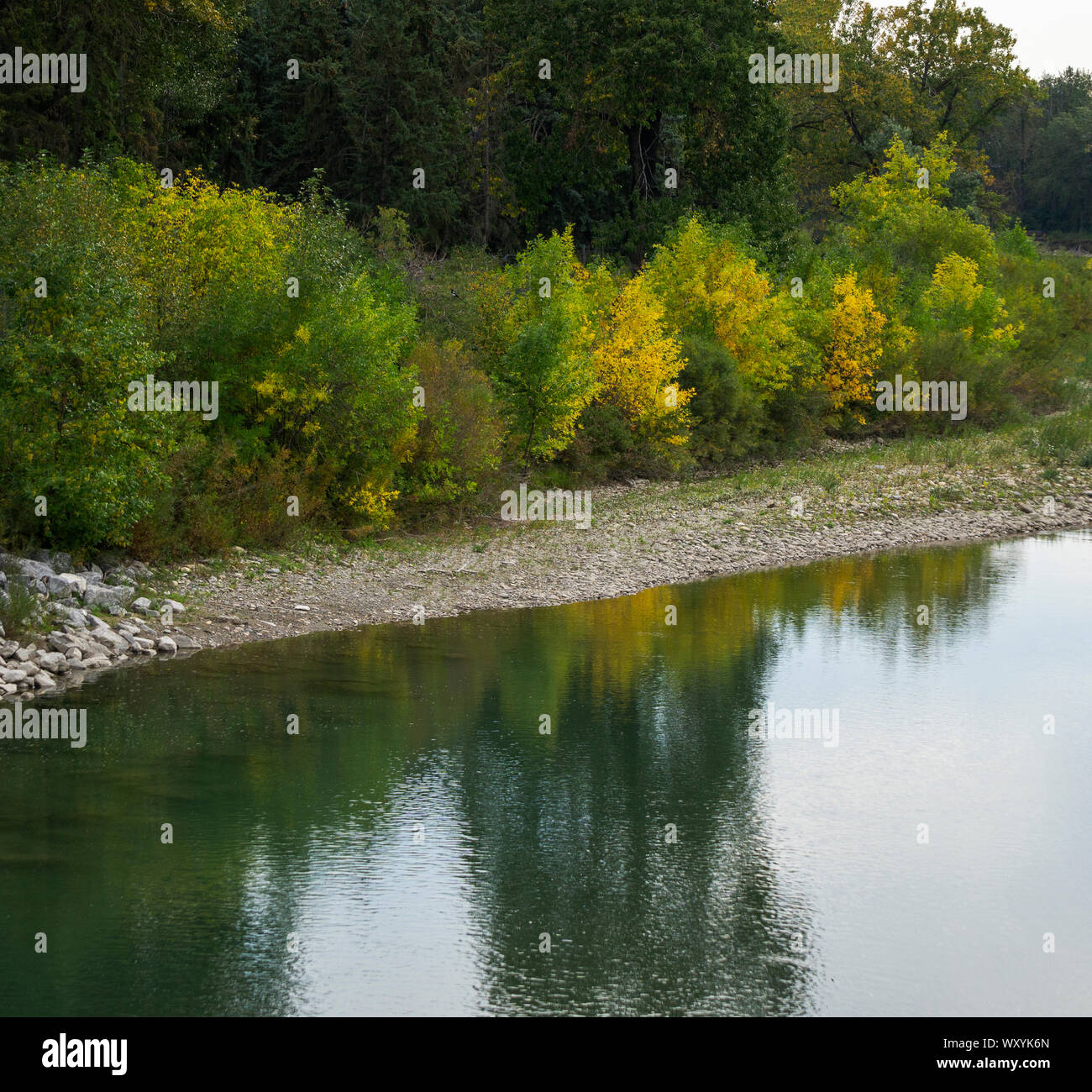 Calgary trees hi-res stock photography and images - Alamy