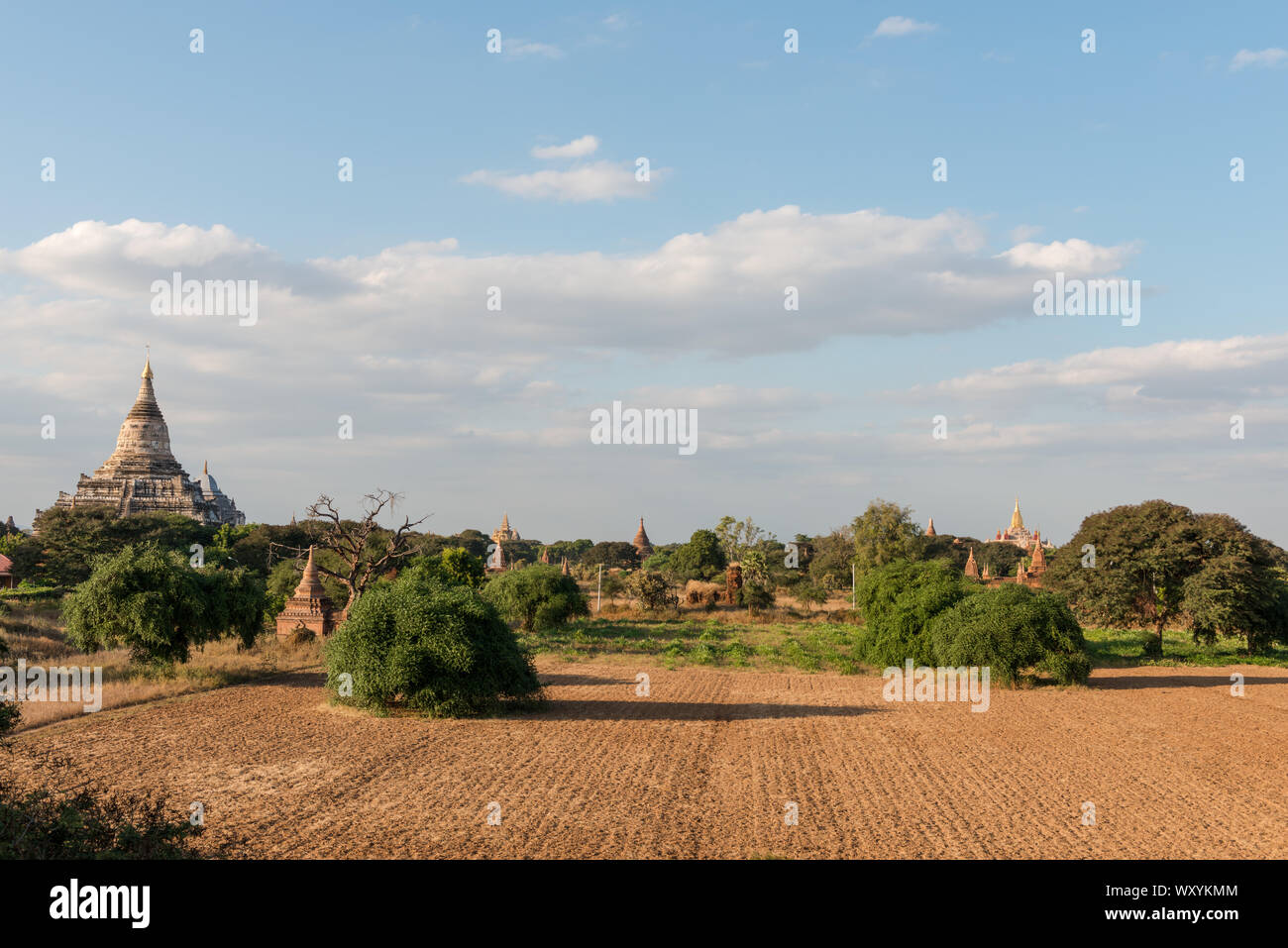 Wide angle picture of archeological park of Bagan with ancient buddhist ...