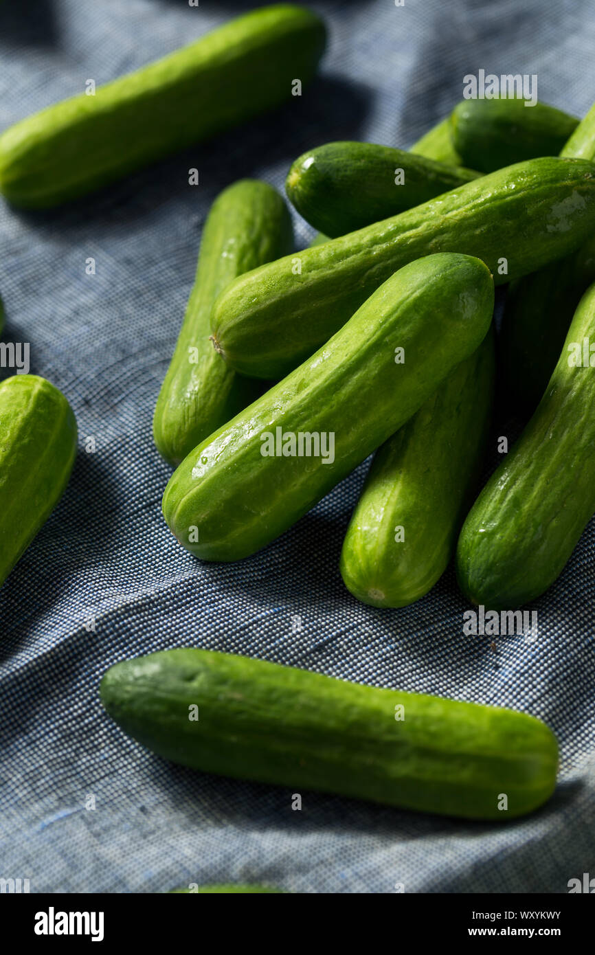 Raw Green Organic Mini Cocktail Cucumbers in a Bunch Stock Photo - Alamy