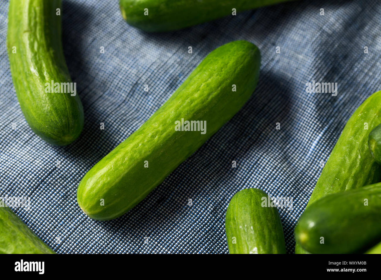 Raw Green Organic Mini Cocktail Cucumbers in a Bunch Stock Photo - Alamy