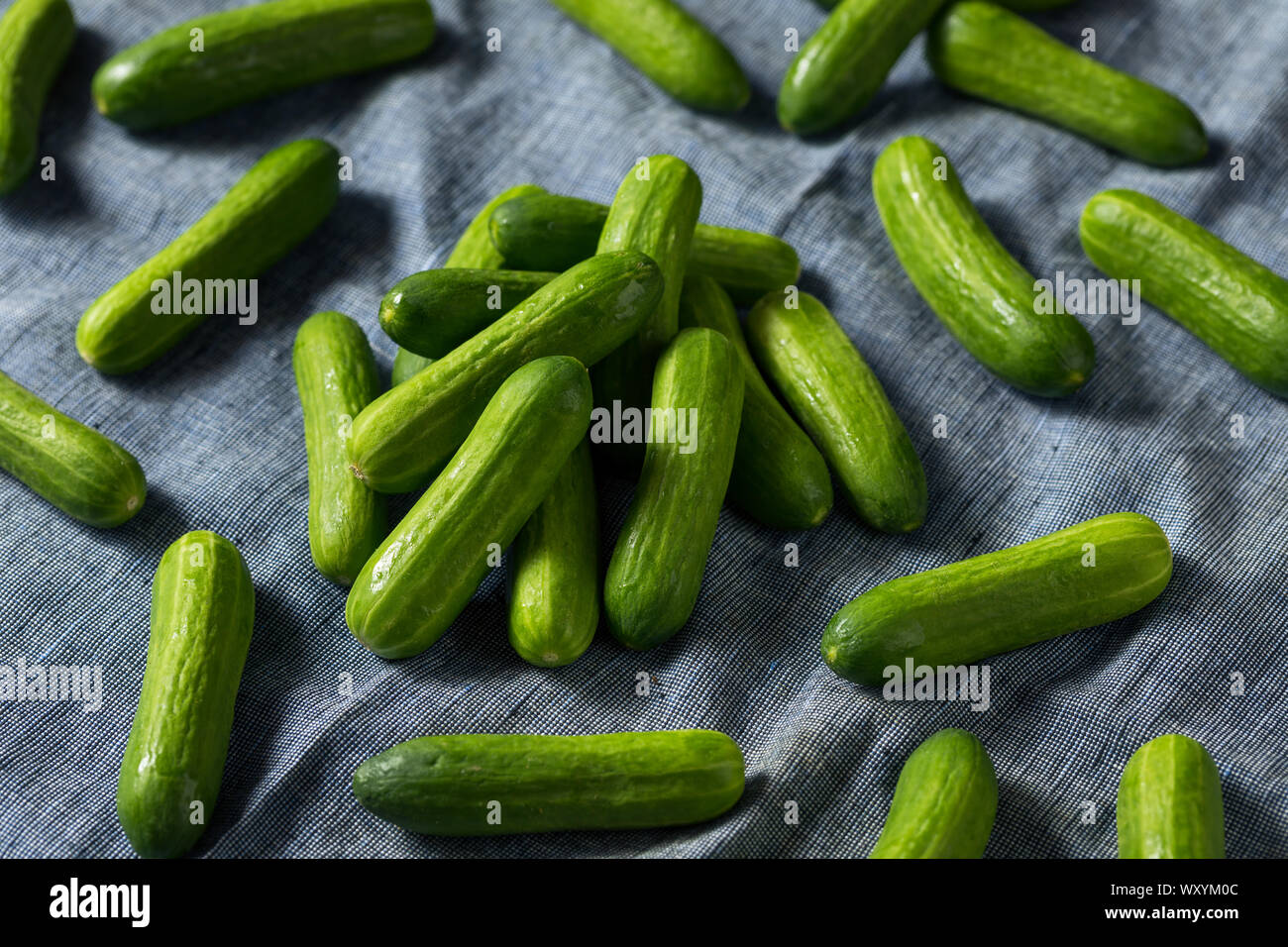 Raw Green Organic Mini Cocktail Cucumbers in a Bunch Stock Photo - Alamy
