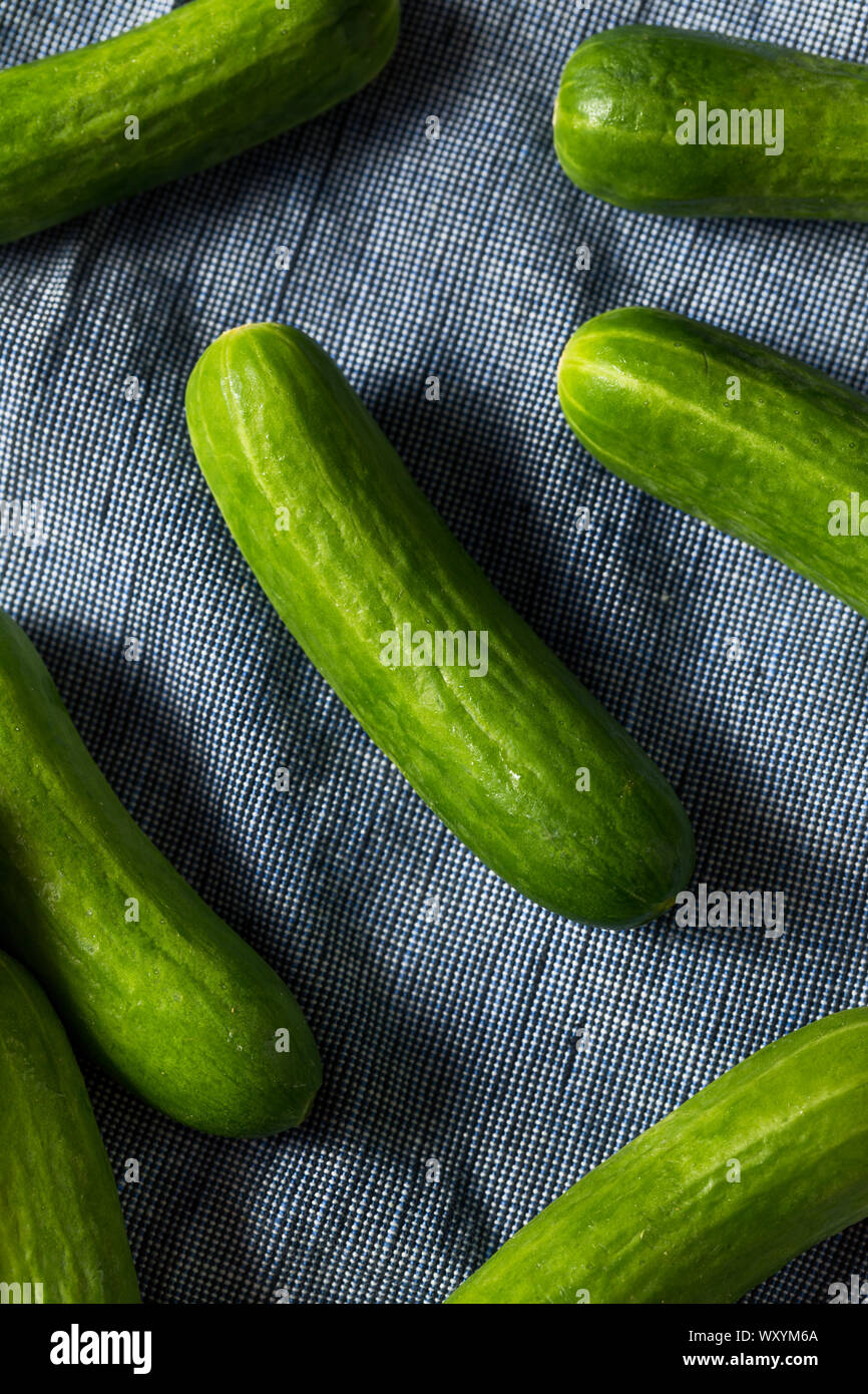 Raw Green Organic Mini Cocktail Cucumbers in a Bunch Stock Photo - Alamy