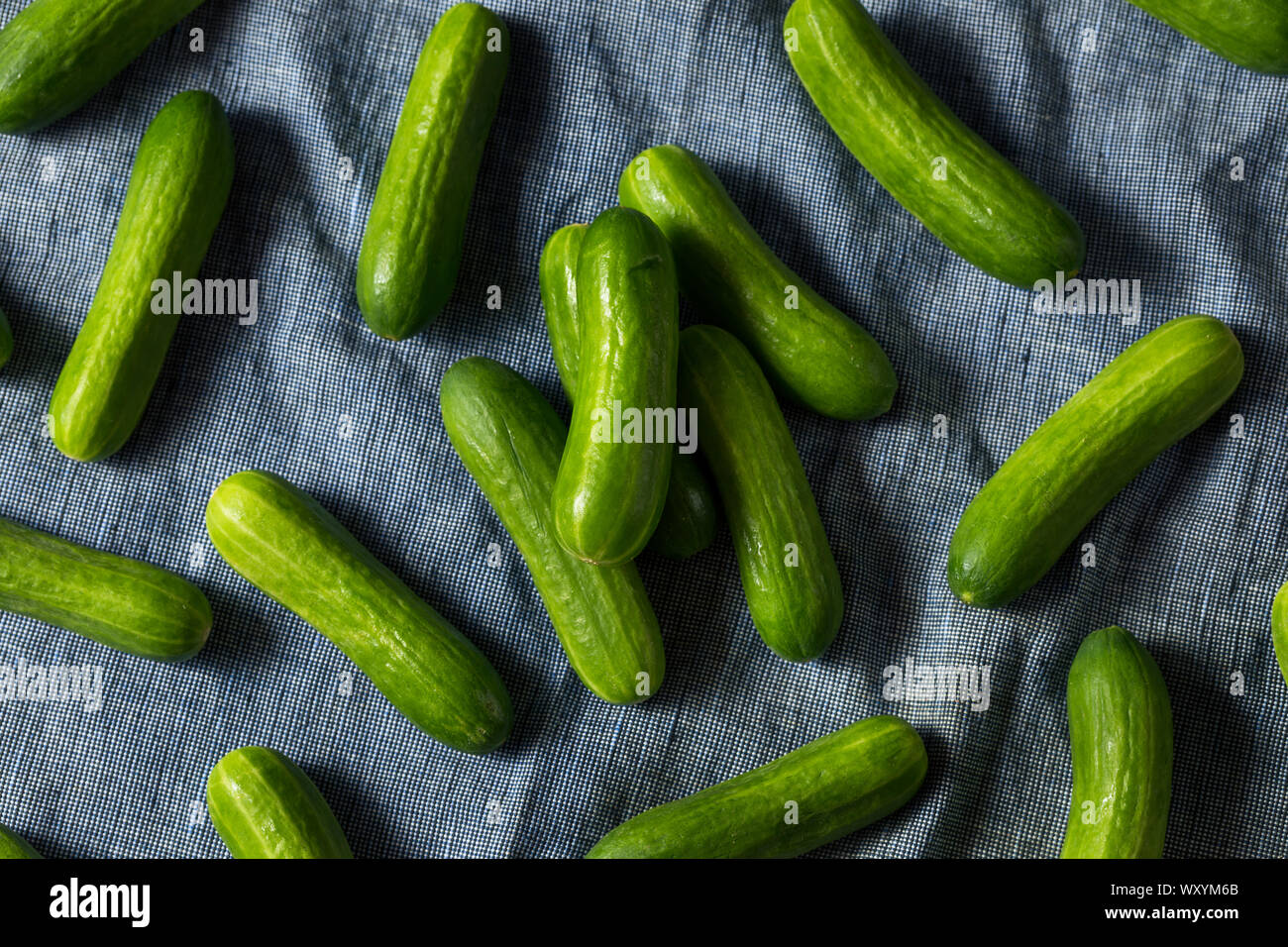Raw Green Organic Mini Cocktail Cucumbers in a Bunch Stock Photo - Alamy