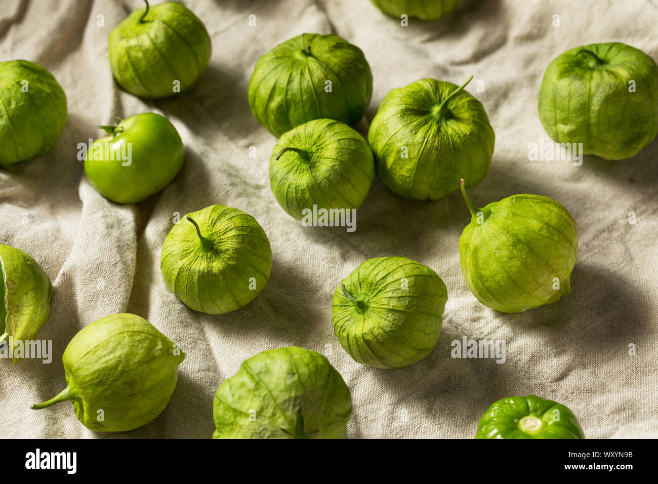 Organic Green Fresh Tomatillos in a Husk Stock Photo - Alamy